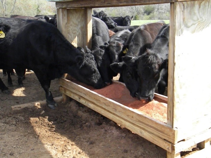 Stockade - Resources